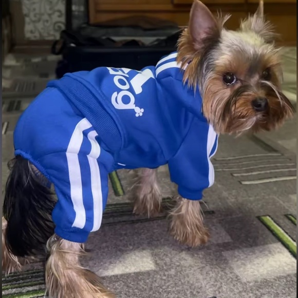 Dog | Stylish Dog Tracksuit | Poshmark